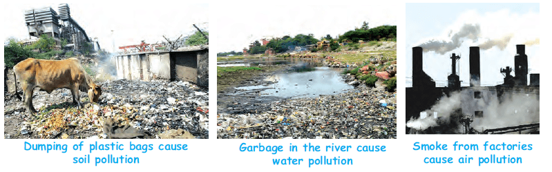 Our Environment Class 3 Notes SST Free PDF