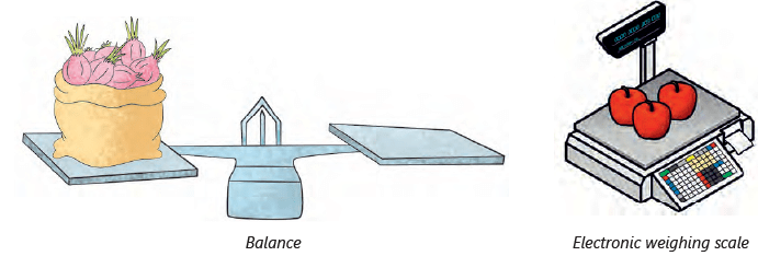 Measurement Class 3 Notes Science Free PDF