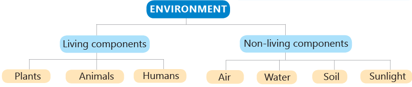 Our Environment Class 3 Notes Science Free PDF