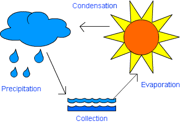 Class 7 Geography Chapter 5 Notes - Water Free PDF