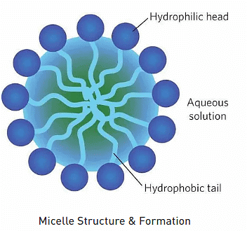 Micelle: Formation, Structure, Soap Action and Sample Questions ...