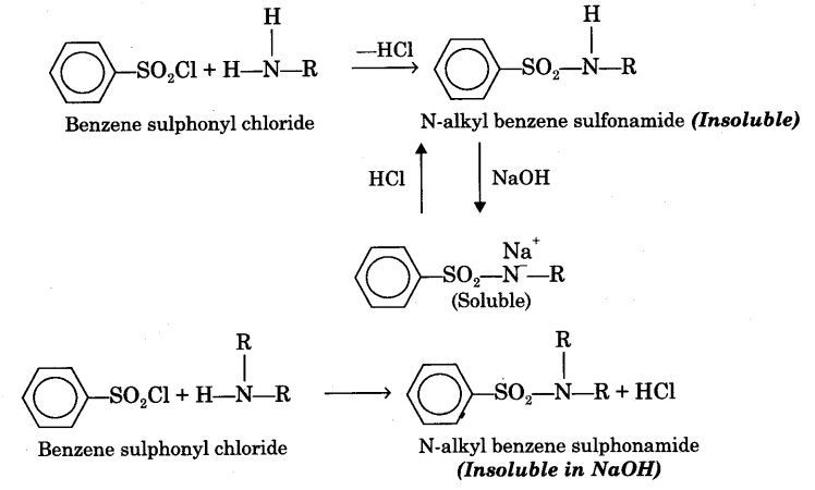 Identification of Functional Groups by Chemical Tests - Organic ...