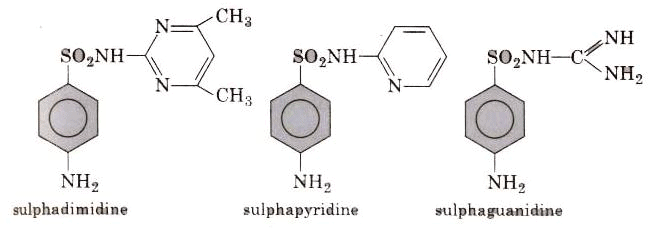 Drugs and Their Classification - CBSE Chemistry Class 12 PDF Download
