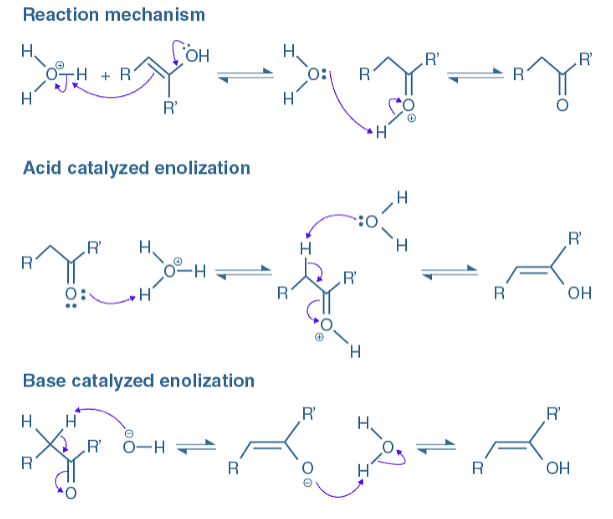 Tautomerism - Meaning, Definition, Types, Examples and Important ...