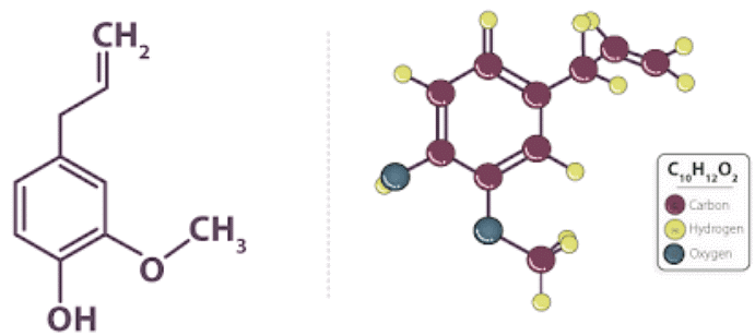 Elimination Reaction: E1 and E2 Reaction Mechanisms - JEE PDF Download