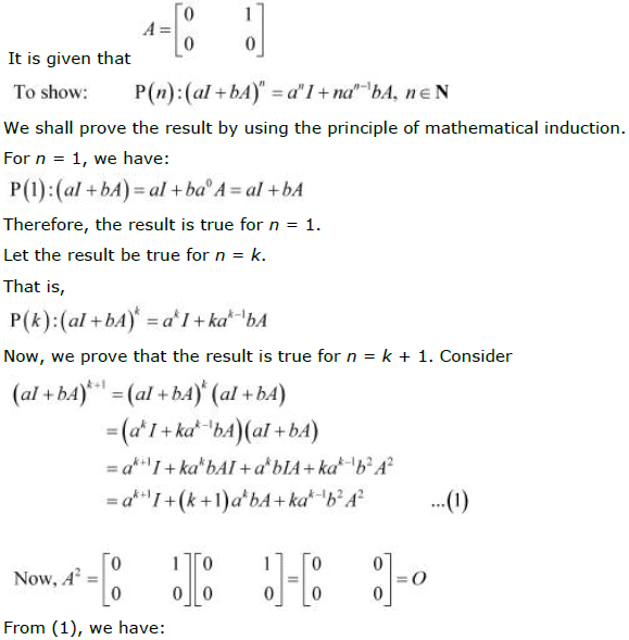 Matrices, NCERT Solutions, Class 12, Maths, Part -5 - JEE PDF Download