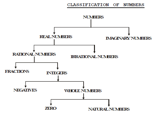 Number System, Class 9 Mathematics Detailed Chapter Notes PDF Download