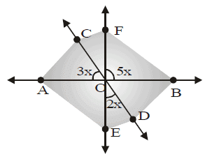 Assignment - Lines and Angles, Class 9 Mathematics PDF Download