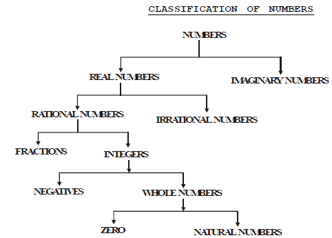 Real Number System Project