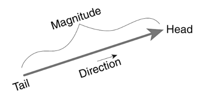 Types of Vectors: Definition of Different Vectors in Maths - JEE PDF ...