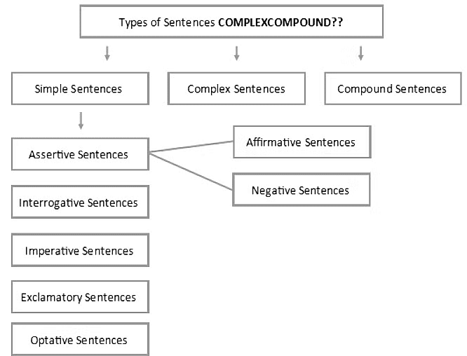 Introduction and Types: Sentences - English Language and Comprehension ... Introduction and Types: Sentences - English Language and Comprehension ...