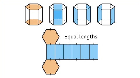 3D Shapes and Nets - Year 7 PDF Download
