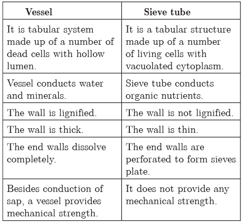 Class 9 Science Chapter 6 Question Answers - Tissues