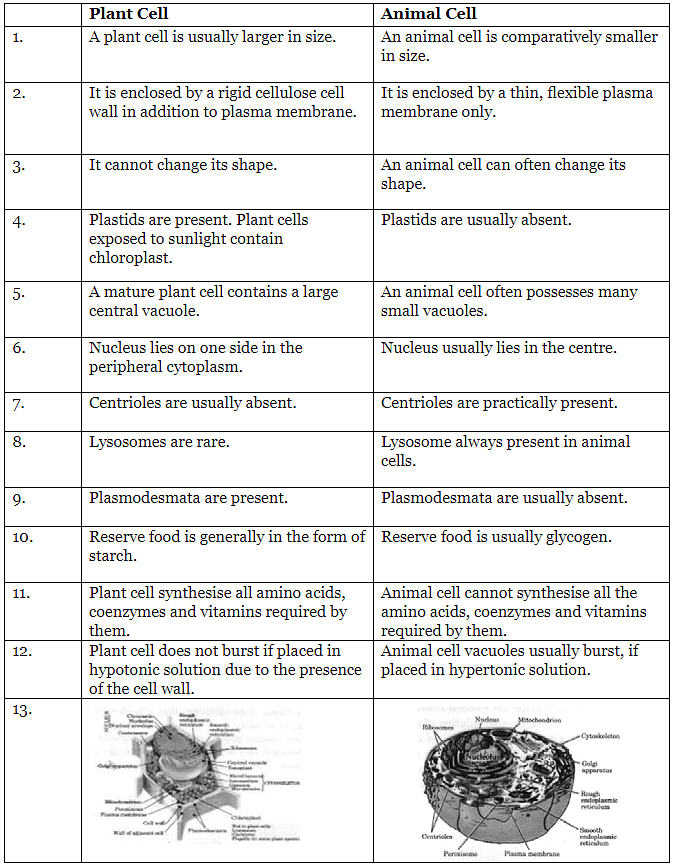 Class 9 Science Chapter 5 Question Answers - The Fundamental Unit of Life