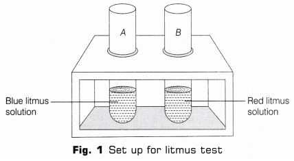 Lab Manual: Properties of Acids and Bases - Lab Manuals for Class 10 ...