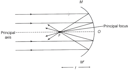 Lab Manual: Focal Length of Concave Mirror and Convex Lens - Lab Manuals for Class 10 PDF Download