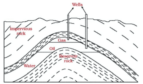 Class 8 Science Chapter 3 HOTS Questions - Coal and Petroleum