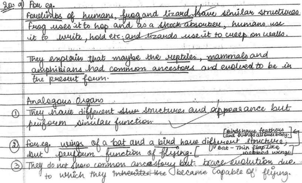 Science Topper`s Answer Sheet - 2019, Class 10 PDF Download