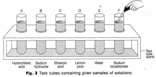 Lab Manual: pH of Samples - Lab Manuals for Class 10 PDF Download