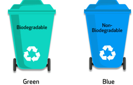 NCERT Solutions for Class 10 Science Chapter 13 - Our Environment