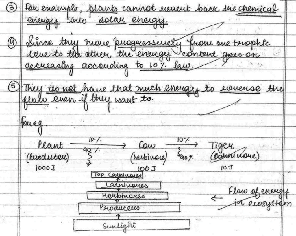 Science Topper`s Answer Sheet - 2019, Class 10 PDF Download