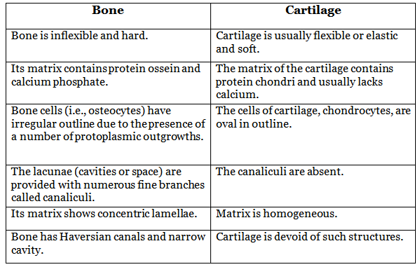 Class 9 Science Chapter 6 Question Answers - Tissues