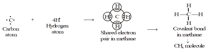 Overview: Carbon Compounds & Covalent Bonding in Carbon Compounds ...