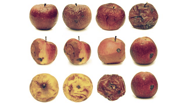 Important Diagrams: Chemical Reactions and Equations - Science Class 10 ...