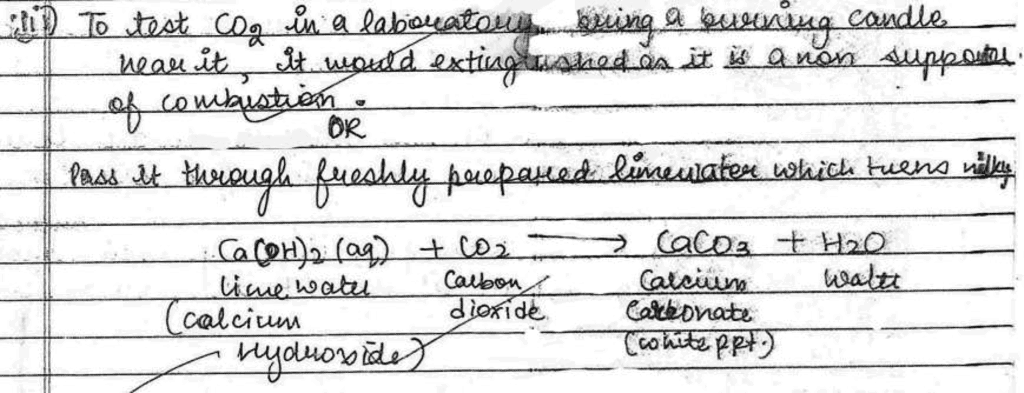 Science Topper`s Answer Sheet - 2019, Class 10 PDF Download