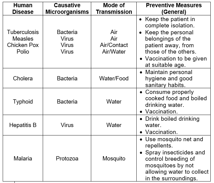 Class 7 Science Chapter 2 Question Answers - Microorganisms : Friend or Foe