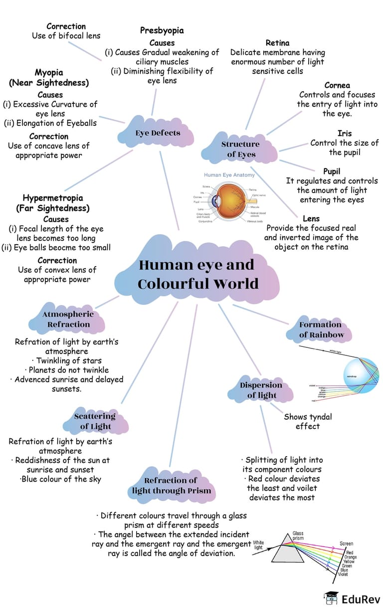 Mindmap: Ray Optics: The Human Eye & Colorful World - Notes | Study ...