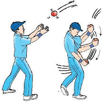 Important Tables and Diagrams: Force and Laws of Motion - Class 9 PDF ...