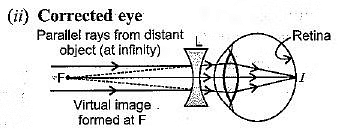 Class 10 Science Chapter 10 Previous Year Questions - The Human Eye and ...