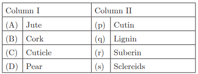 Class 9 Science Chapter 6 Practice Question Answers - Tissues