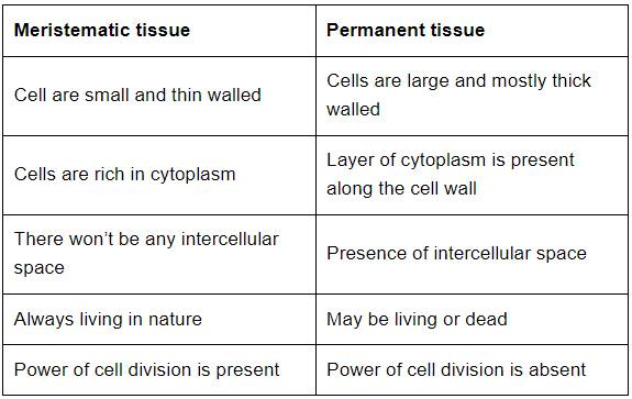 Class 9 Science Chapter 6 Question Answers - Tissues