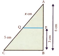 Lab Manual: Basic Proportionality Theorem for a Triangle - Lab Manuals ...