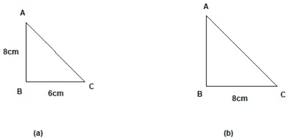 Triangles Class 10 Worksheet Maths Chapter 6