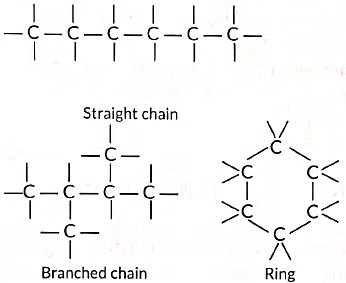 Class 10 Science Chapter 4 Previous Year Questions - Carbon and its ...