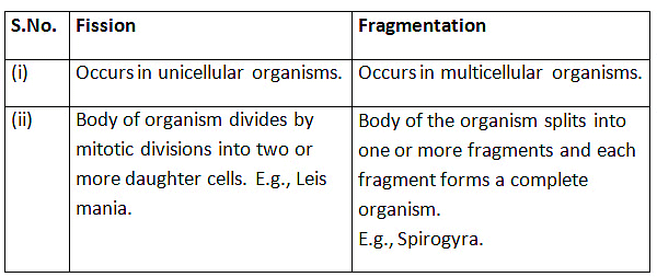 Class 10 Science Chapter 7 Previous Year Questions - How do Organisms ...