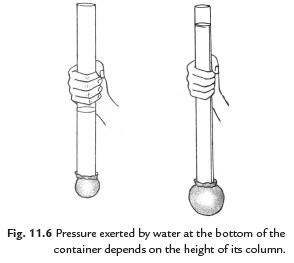 Class 8 Science Chapter 8 Question Answers - Force and Pressure