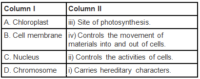 NCERT Exemplar Solutions: Cell - Structure and Functions - Science ...
