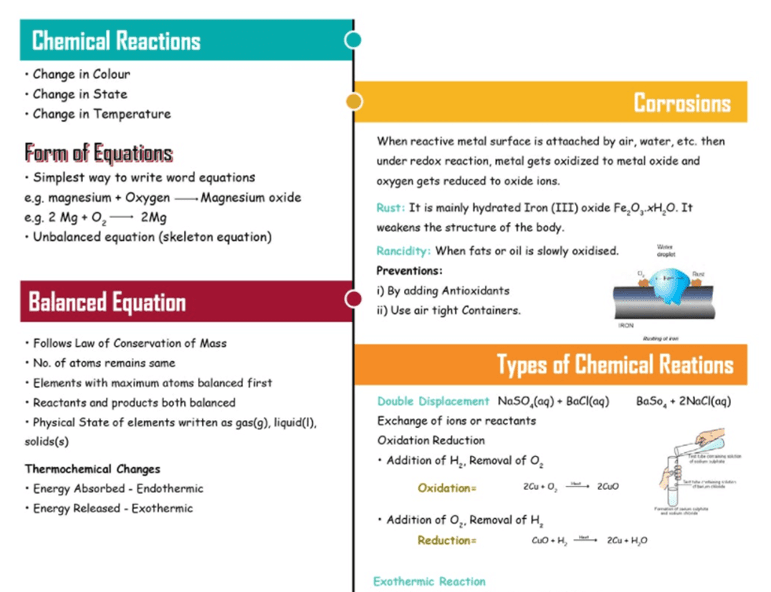 What do you get under EduRev Infinity Package for Class 10? - How To ...