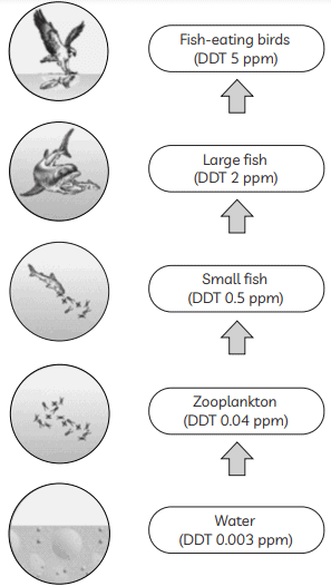 Class 10 Science - Previous Year Questions - Our Environment