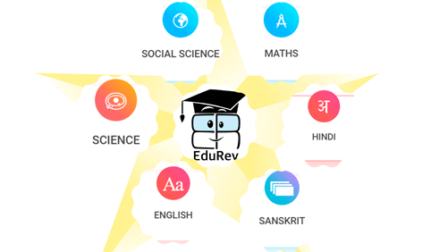 What do you get under EduRev Infinity for Class 8? - Parent's Guide to ...