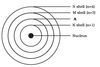 Important Diagrams: Structure of the Atom - Science Class 9 PDF Download