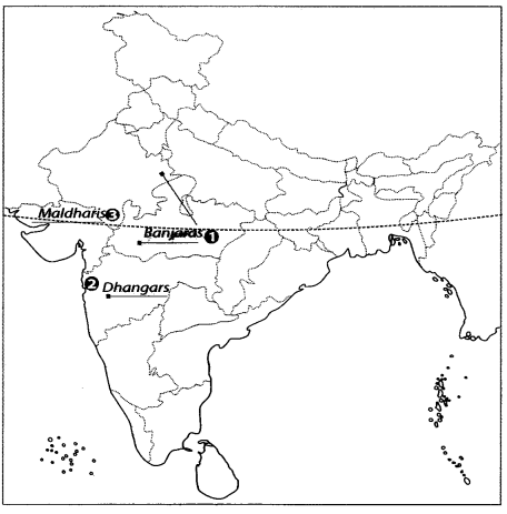 Map Based Questions: Pastoralists in the Modern - Social Studies (SST ...