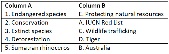 Worksheet Solutions: Endangered Animals - General Knowledge for Young ...
