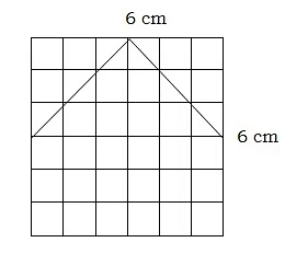 How Many Squares? - 1 Class 5 Worksheet Maths Chapter 3