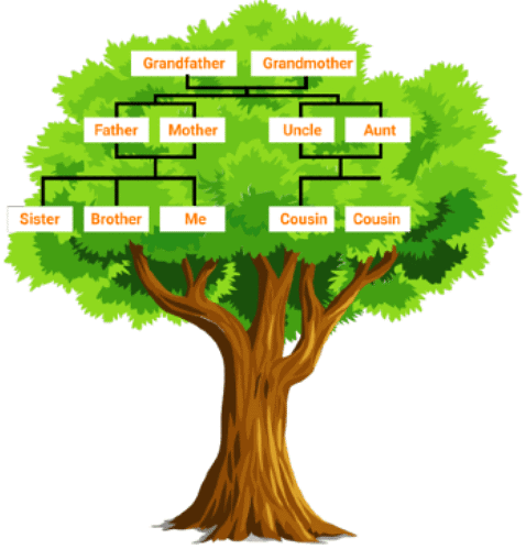 Smart Charts Class 5 Notes Maths Chapter 14 Free PDF