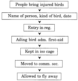 Passage 7: Note Making and Summarizing - Class 11 English Grammar PDF ...